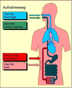 Erste Hilfe bei Vergiftungen – wiki.bienenzeitung.de